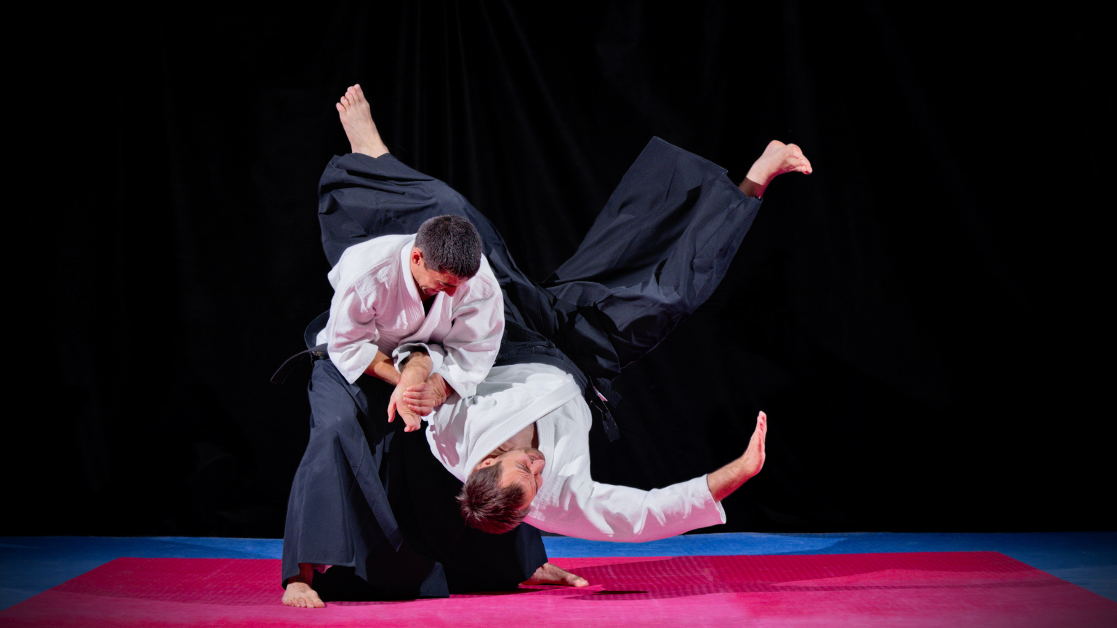 Most Popular Combat Sports - SportsKhabri
