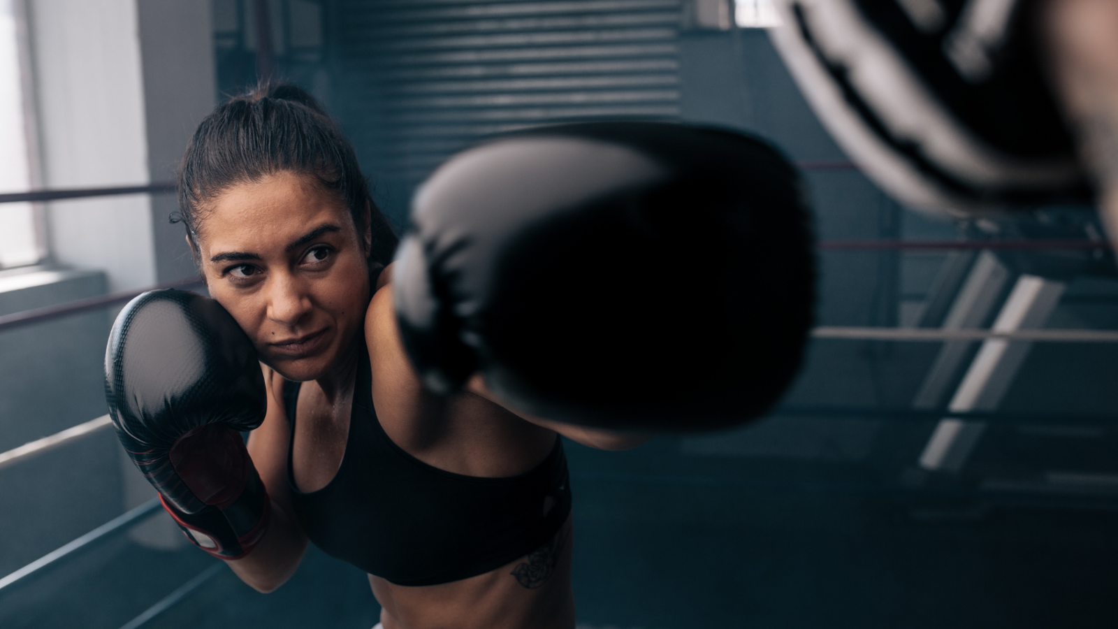 Most Popular Combat Sports - SportsKhabri