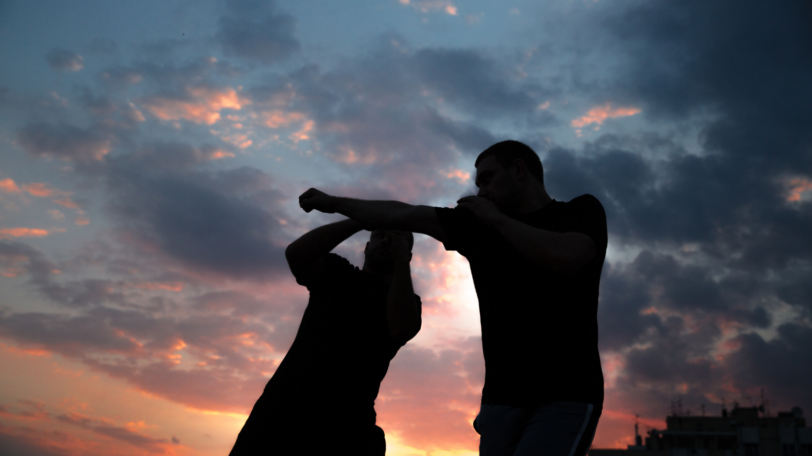 Most Popular Combat Sports - SportsKhabri