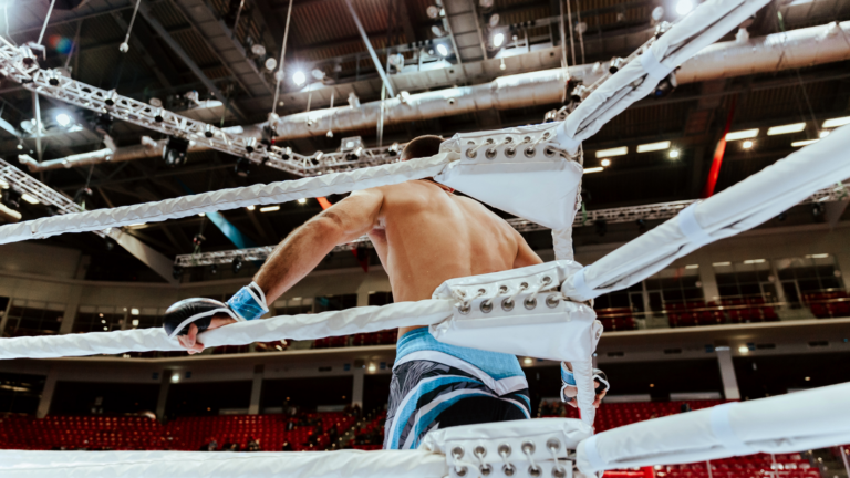 New sponsorship deals signed by Ultimate Fighting Championship (UFC) in ...