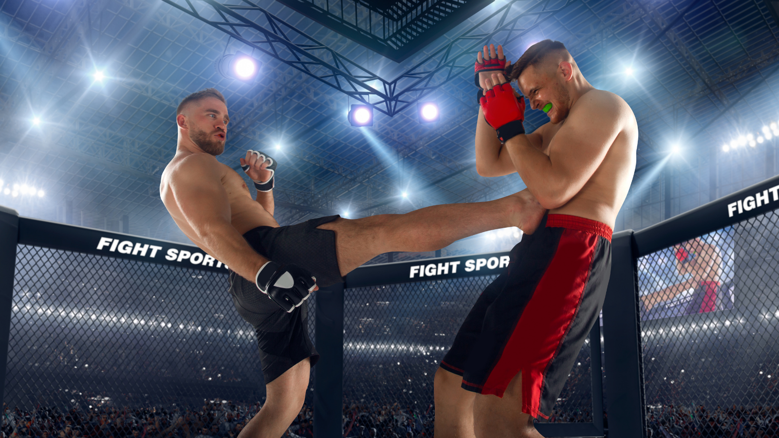 AN INTRODUCTION TO MIXED MARTIAL ARTS - SportsKhabri